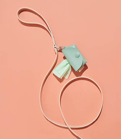 Shop Now At Pawness | Poop scoop kit - Emerald