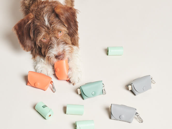 Shop Now At Pawness | Poop scoop kit - Emerald