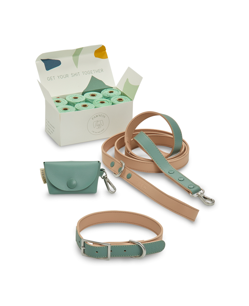 Shop Now The Pawness Essentials| Walk Kit Collar - Emerald